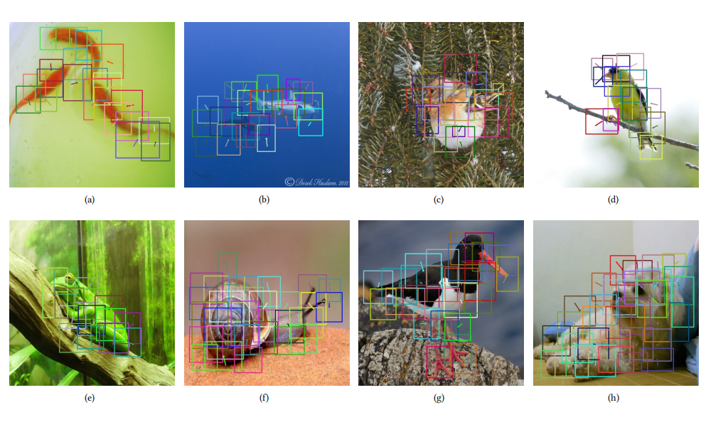 还在用ViT的16x16 Patch分割方法吗？中科院自动化所提出Deformable Patch-based方法，涨点显著！...-CSDN博客