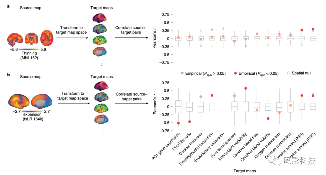 Neuromaps: 大脑结构和功能的图解-CSDN博客