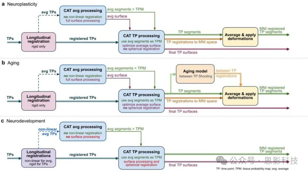 CAT-用于结构MRI数据分析的计算解剖工具箱_dk40图谱解剖-CSDN博客