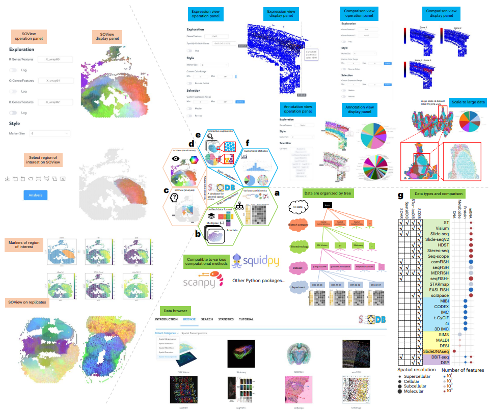 Nature Methods | 空间组学数据库推荐：SODB_wen05054105的博客-CSDN博客