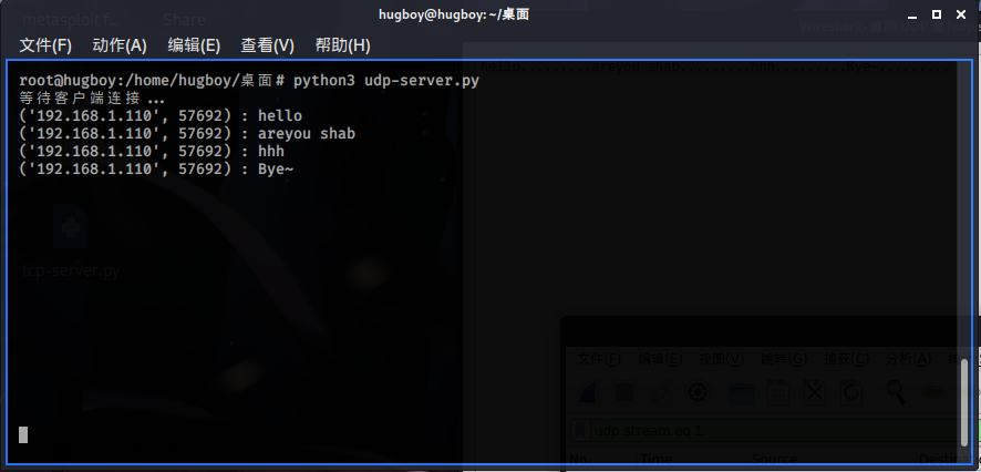 Python socket 编程实验-CSDN博客