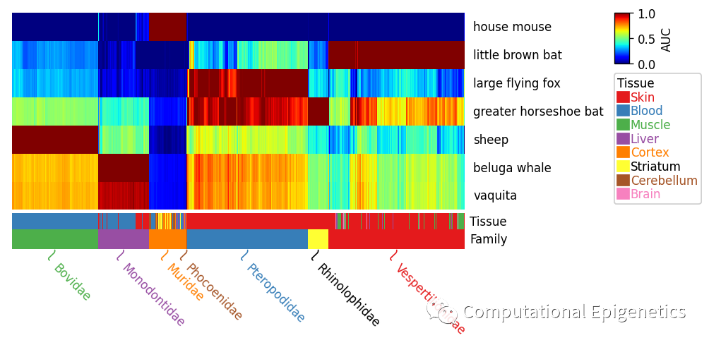 PyComplexHeatmap进阶教程：用python画热图的【行】/【列】注释信息-CSDN博客