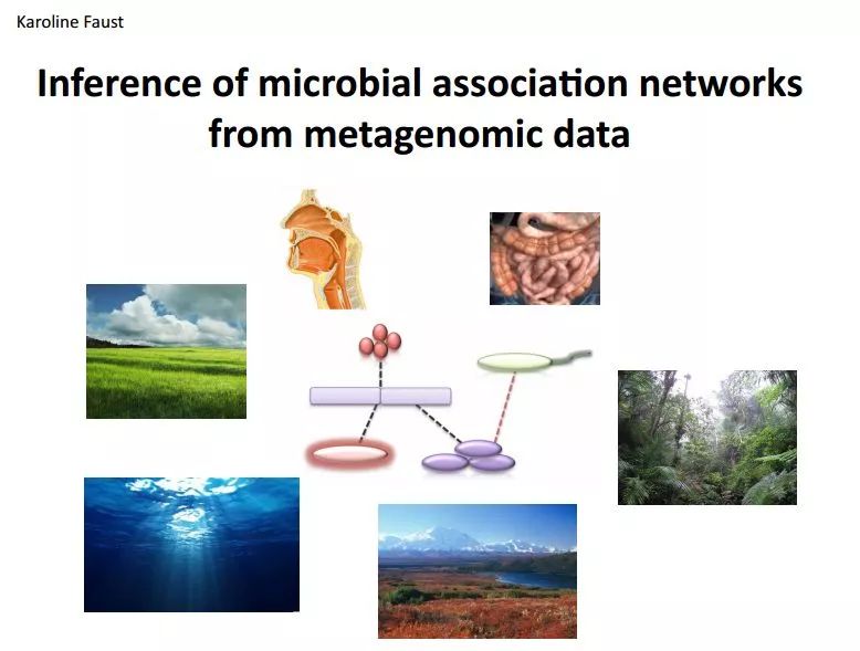 微生物网络构建原理: SparCC, MENA, LSA, CoNet-CSDN博客