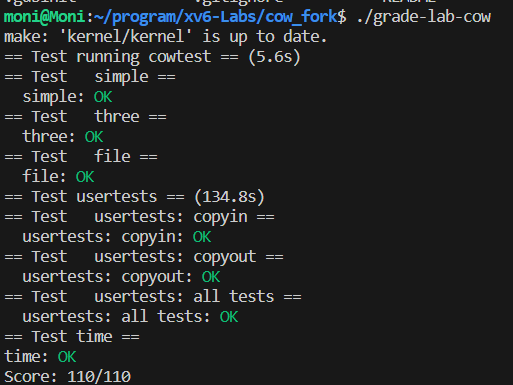 Lab5 cow_fork_lab5 cow csdn-CSDN博客