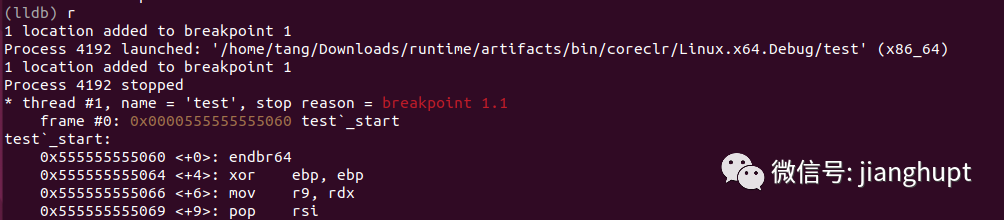 GUN/Linux的源头Elf文件是如何操控Glibc的-CSDN博客