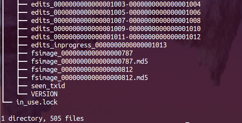 【hdfs基础】hdfs文件目录详解hadoop中namenode和datanod目录结构 Csdn博客