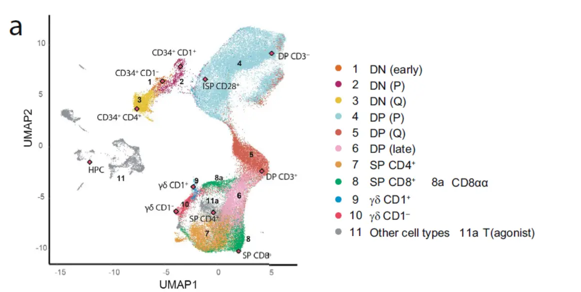 bulk-seq数据和单细胞数据的联合分析_单细胞联合bulk转录组 简书-CSDN博客