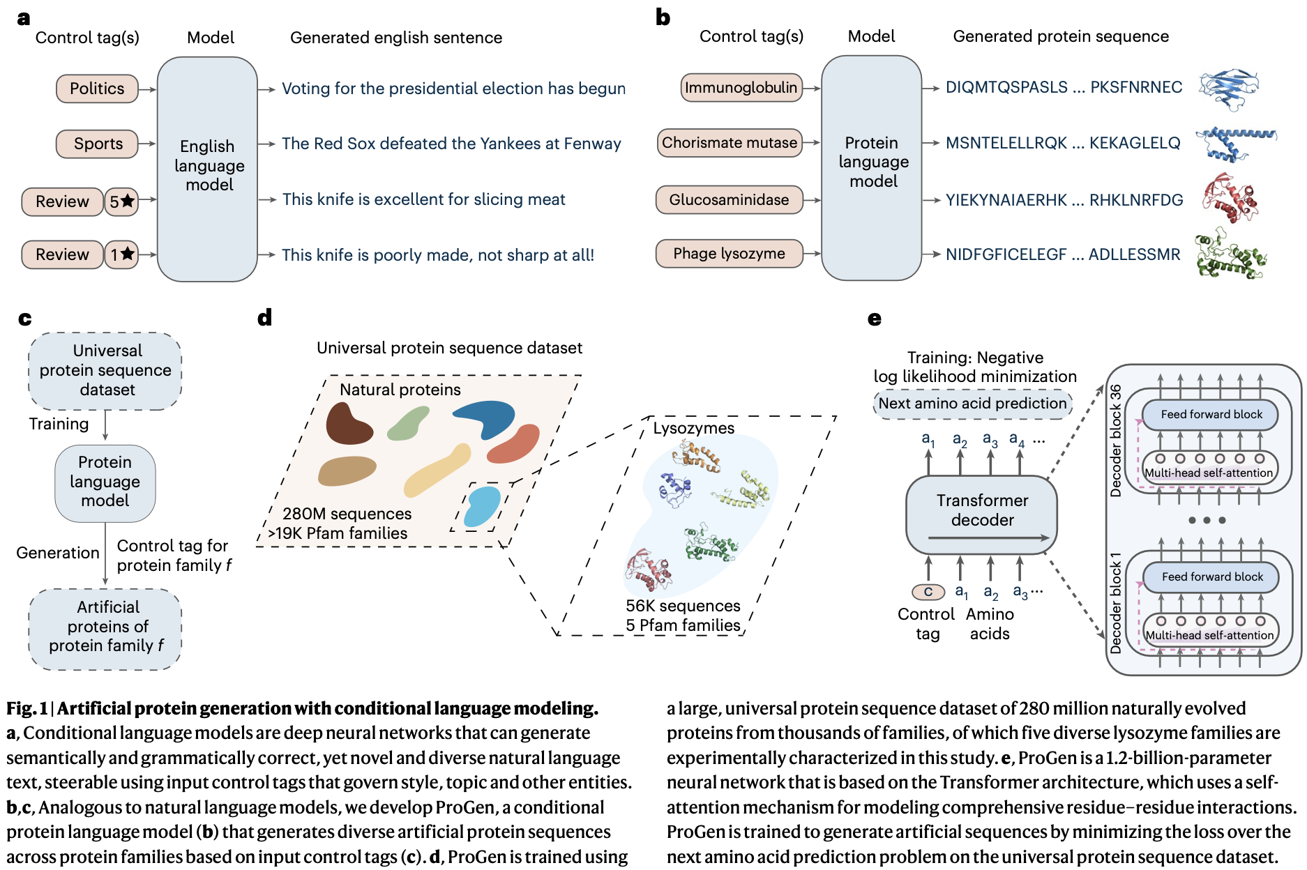 Paper简读 - ProGen: Language Modeling for Protein Generation_large language models generate ...