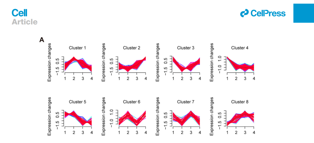 跟着Cell学作图 | 6.时间序列分析(Mfuzz包)-CSDN博客