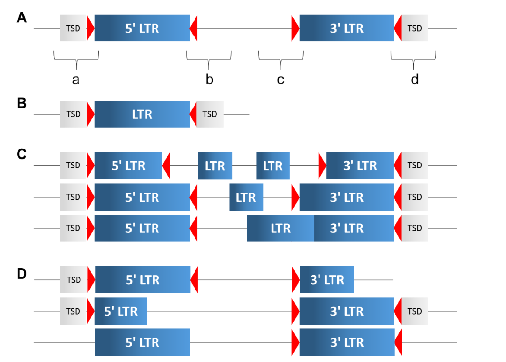 LAI: 评估基因组质量一个标准-CSDN博客