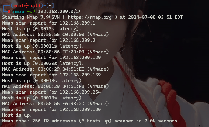 内网隐蔽扫描，Nmap高级用法，Nmap从0-1使用教程_内网扫描-CSDN博客