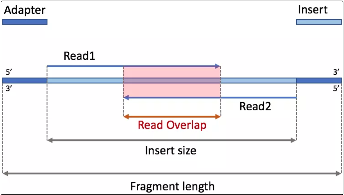 一二三代测序 新_ngs reads1和reads2-CSDN博客