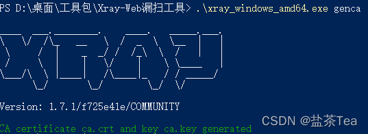 Xray 漏洞扫描工具使用方法_xray被动扫描命令-CSDN博客