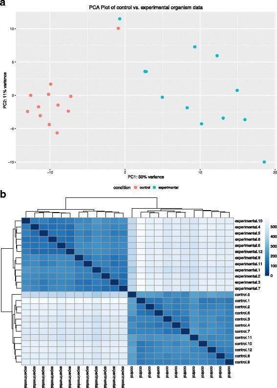 转录组分析_肠道菌群：宏转录组测序分析流程解读_淡定情的博客-CSDN博客