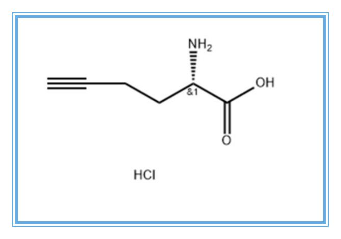 942518-19-6，L-Homopropargylglycine(HPG)，L-高炔丙基甘氨酸盐酸盐，生化小分子标记-CSDN博客