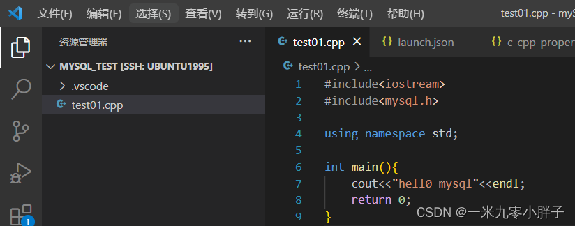 windows下vscode连接Linux中的MySQL（非常实用）_vscode 连接数据库-CSDN博客