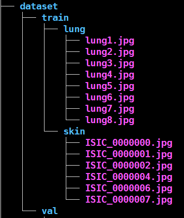 关于VIT模型训练自己的数据集报错为无效的数据_valueerror: there is no valid data in dataset, ple-CSDN博客