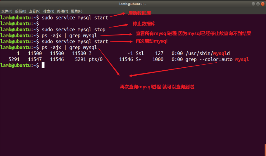 Mysql数据库的环境搭建【详细】 Mysql 集成环境 Csdn博客