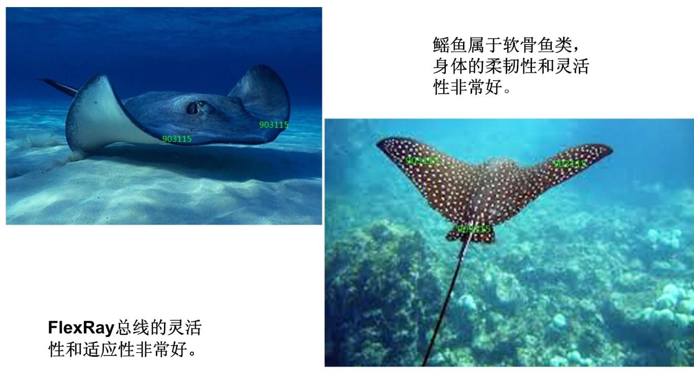 FlexRay总线概述（1）_flexray总线 接口-CSDN博客