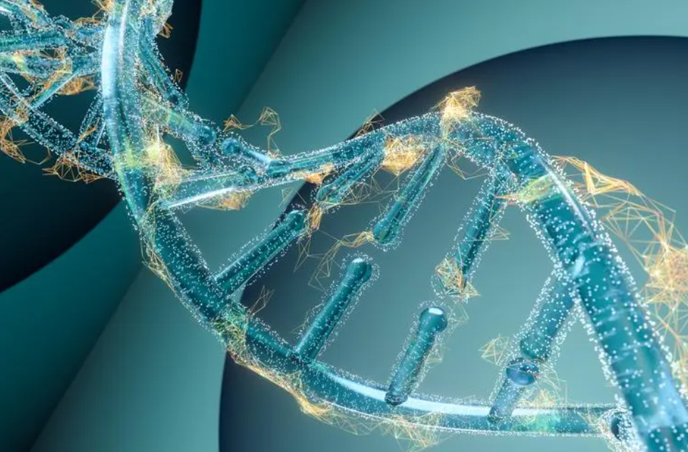 Nature | 数据有限也能预测药物靶点，开源模型Geneformer显著改善基因网络校正疗法...-CSDN博客