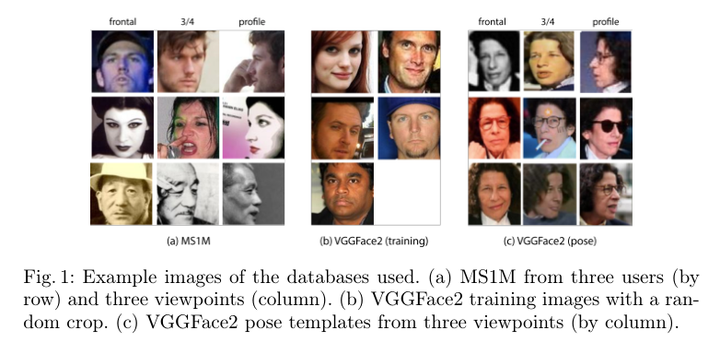 轻量级人脸识别:SqueezerFaceNet: Reducing a Small Face Recognition CNN Even More Via Filter Pruning_通过滤波 ...