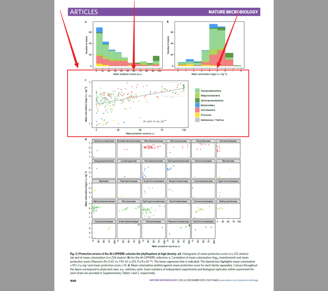 跟着Nature Microbiology学作图：R语言ggplot2做散点图添加拟合曲线和p值-CSDN博客