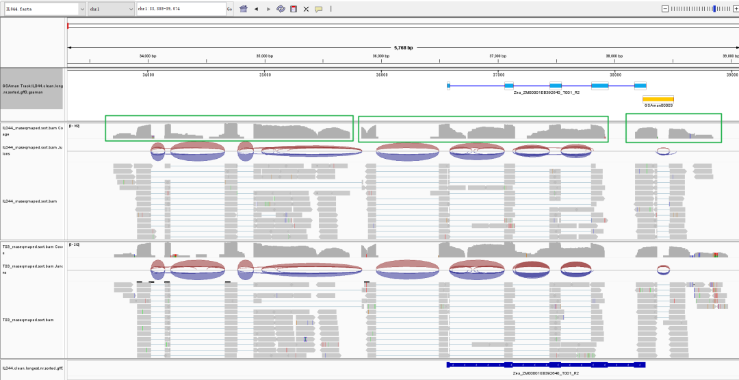 GSAman | 我「玩着游戏」就把「科研做了」_igv-gsaman-CSDN博客