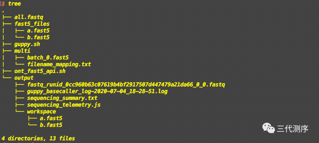 fast软件_【Nanopore】5. fast5和fastq格式比较及使用basecalling软件获取序列信息_weixin_39860919的博客-CSDN博客