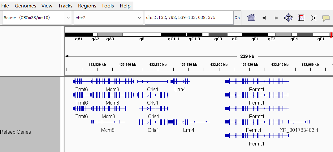 transPlotR 优雅的绘制基因转录本结构-CSDN博客