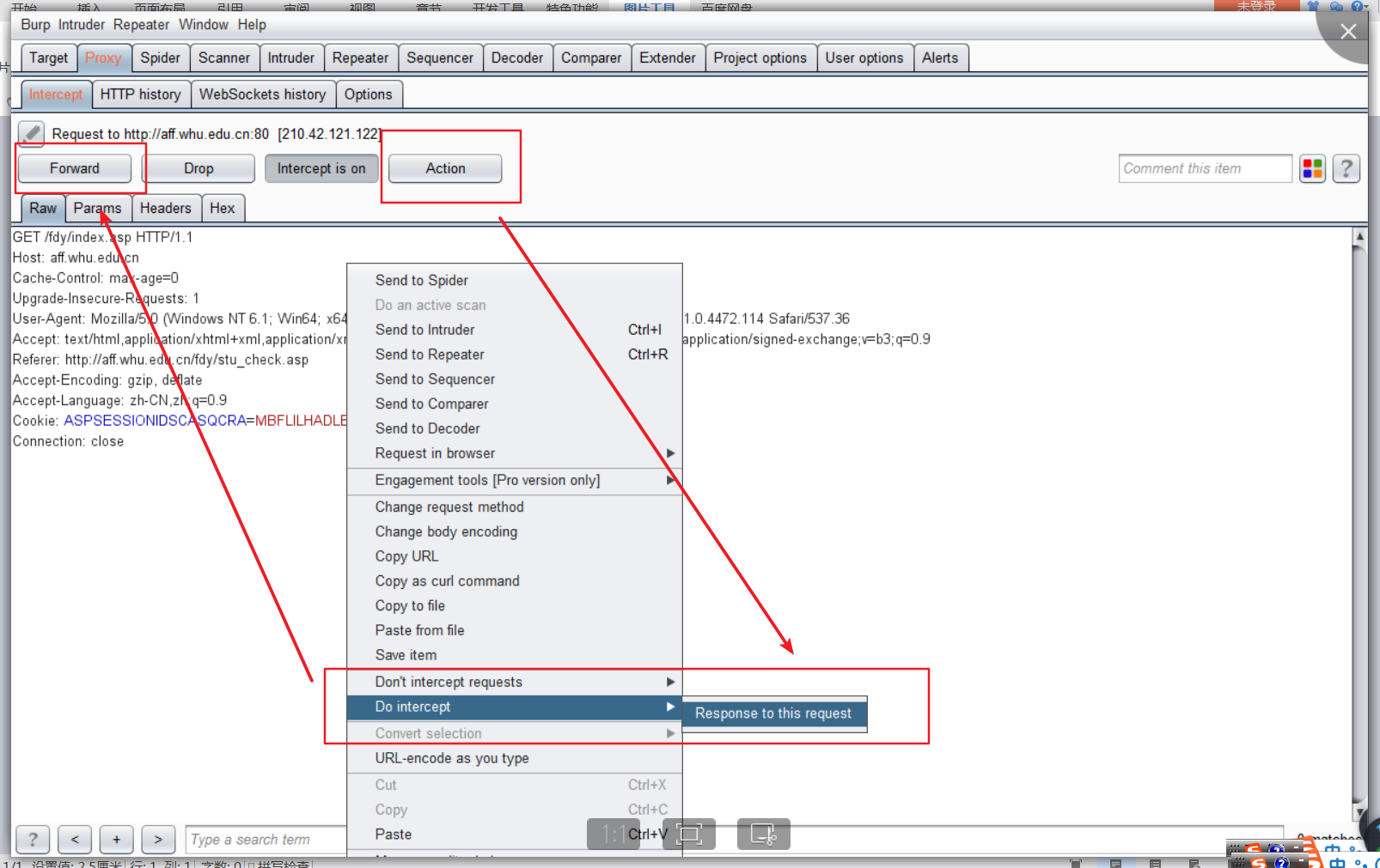 Burp Suite的使用——Proxy_intercept is on-CSDN博客