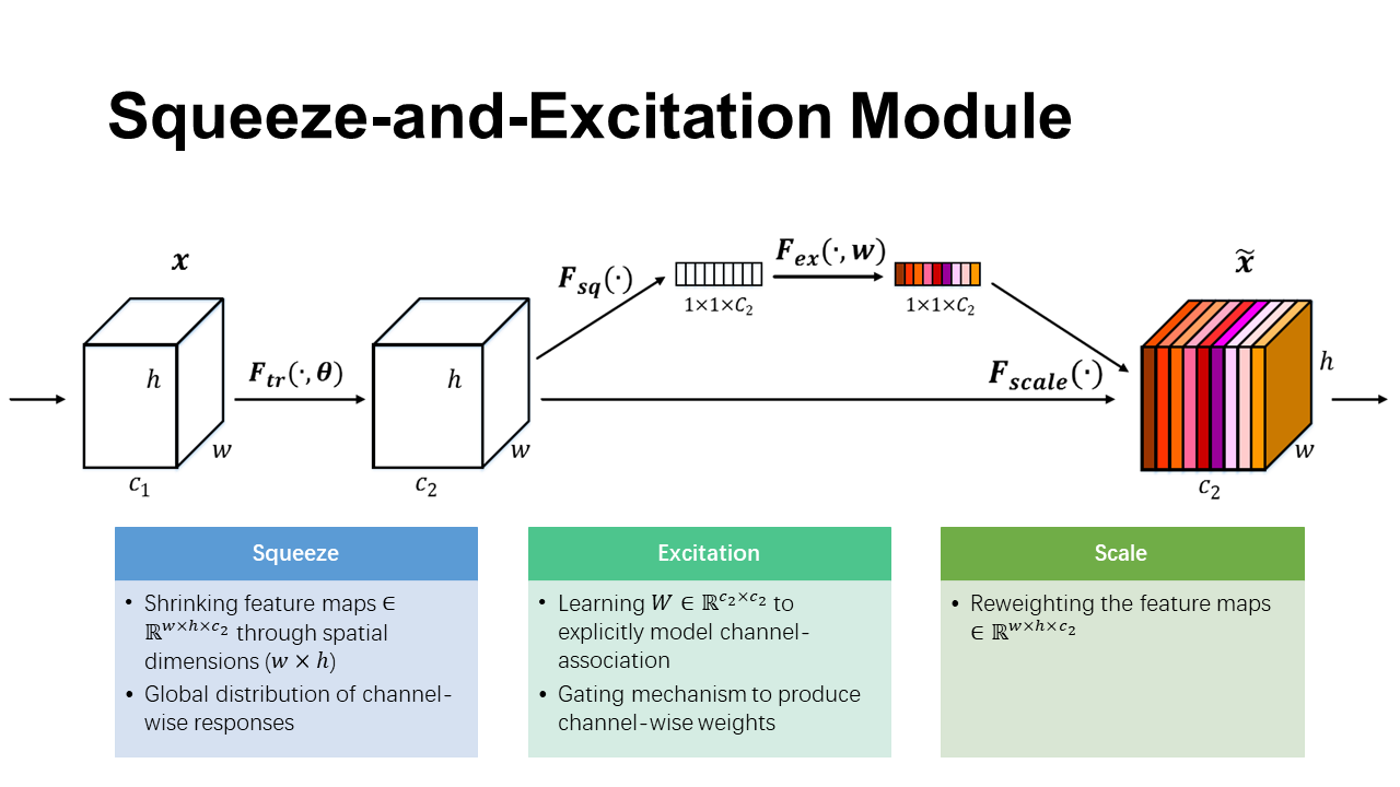 YOLO算法改进指南【中阶改进篇】：1.添加SE-Net注意力机制_yolo改进方法-CSDN博客