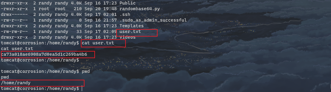 vulnhub靶场——CORROSION:2_corrosion 2-CSDN博客