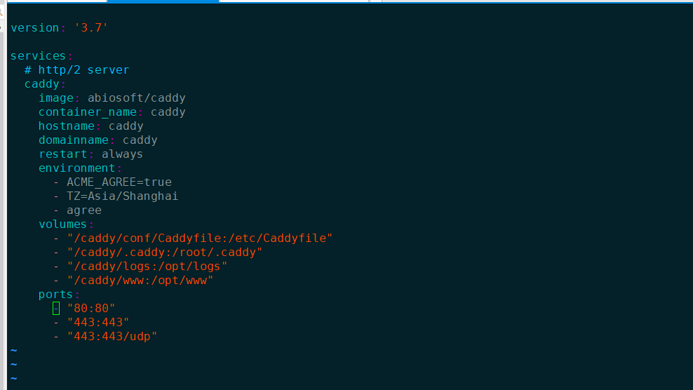 Caddy部署与使用—踩坑总结_caddy 只能本地访问-CSDN博客