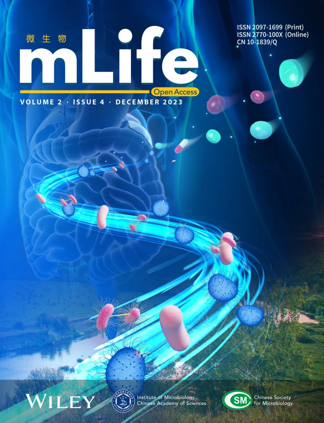 mLife | 细菌间耐药基因传播的“快速列车”——插入序列IS26-CSDN博客