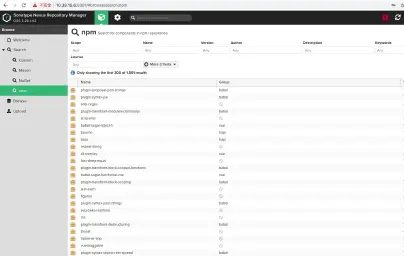 超详细NPM代理仓库Nexus 搭建、配置及验证过程_nexus npm-CSDN博客
