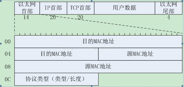 TCP/IP/ARP/ICMP首部分析_以太网首部-CSDN博客