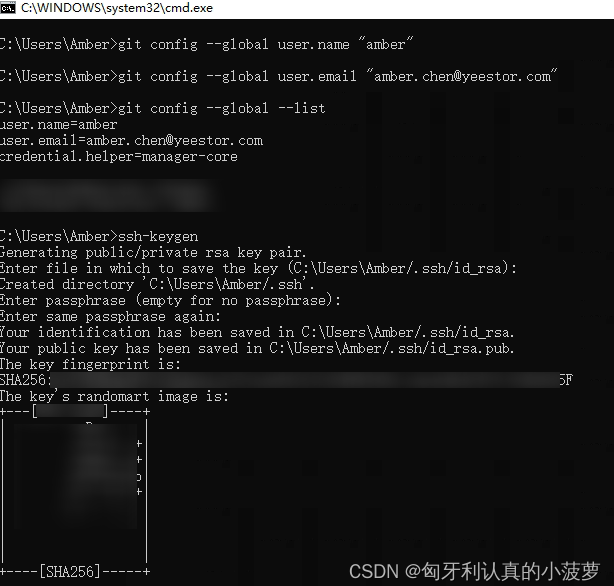 TortoiseGit的使用_git clean up_匈牙利认真的小菠萝的博客-CSDN博客