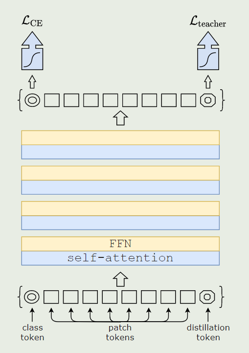 DeiT：Training data-efficient image transformers & distillation through attention学习笔记-CSDN博客