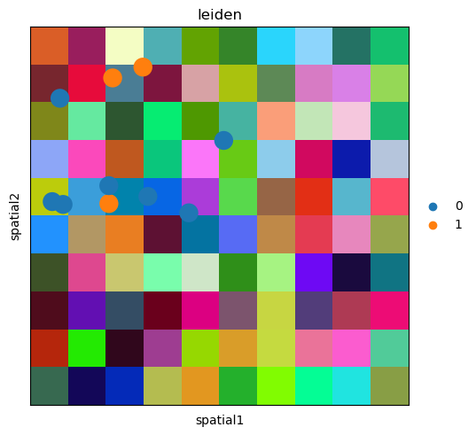 squidpy 教程 1：在 AnnData 和 Squidpy 中导入空间数据-CSDN博客