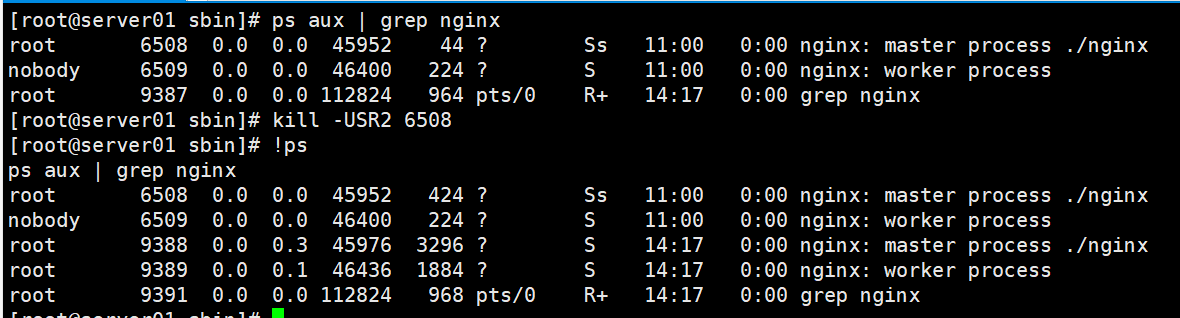Nginx平滑升级 Csdn博客