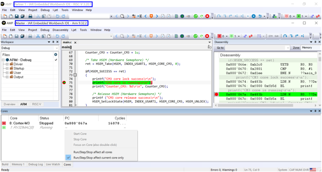 在 IAR Embedded Workbench中进行ARM+RISC-V多核调试_iar for riscv 使用-CSDN博客