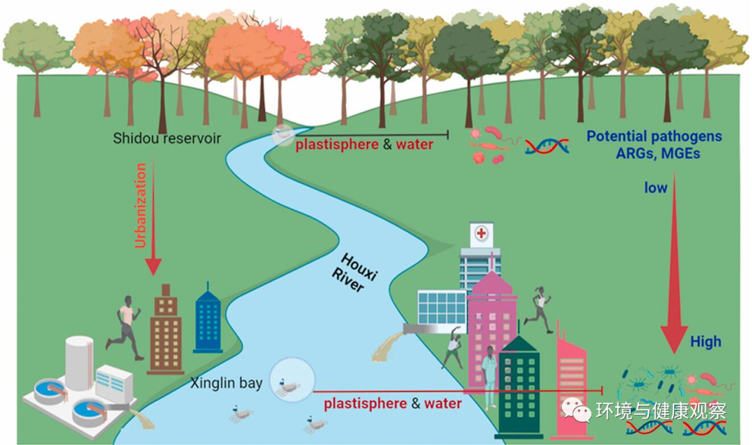 EP：苏建强等-流域尺度微塑料病原菌和抗生素抗性基因方面的新进展-CSDN博客