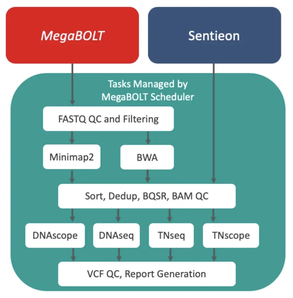 NGS技术：如何一小时完成WGS全基因组数据分析_ngs数据分析软件-CSDN博客