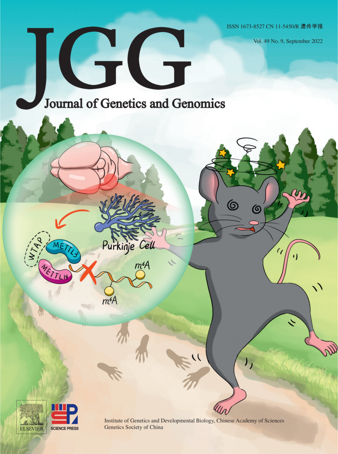 JGG｜2021-2023年生物信息学工具和分析方法类论文合集-CSDN博客