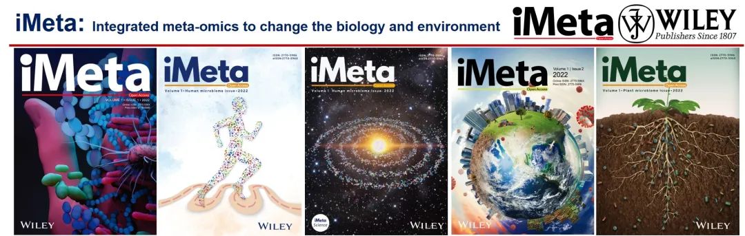 iMeta新媒体编辑招募，助力期刊国际化发展(预计IF~20)-CSDN博客