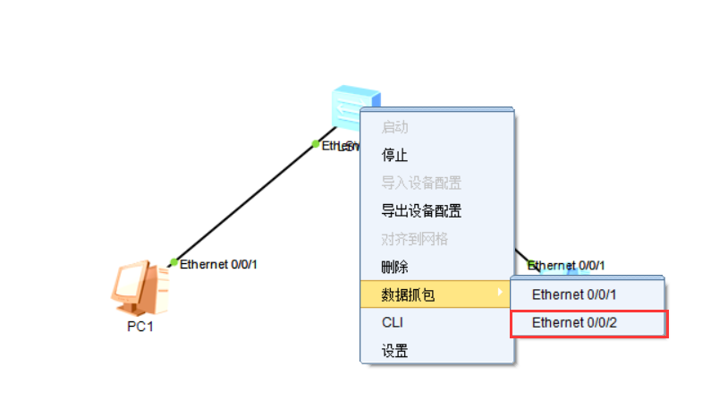 2.抓包观察UDP报文_udp抓包-CSDN博客