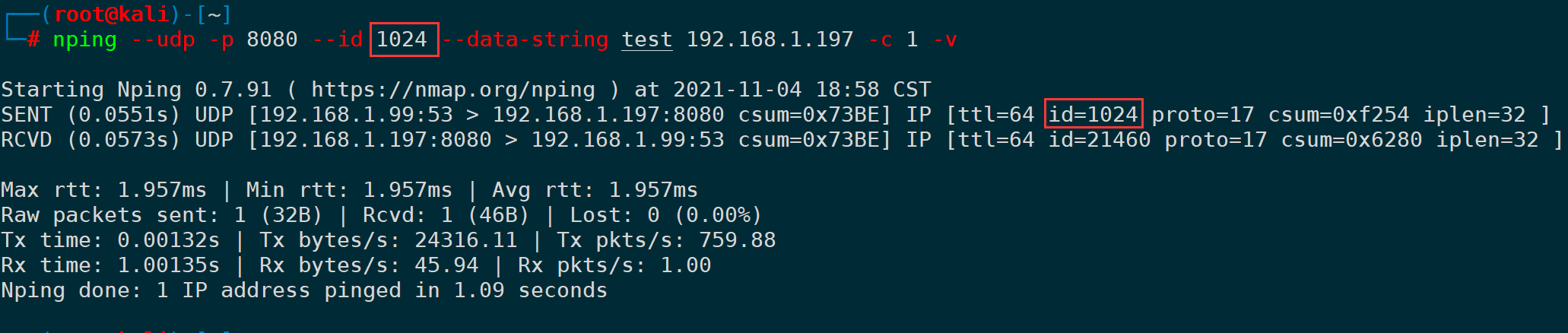 网络探测的中流砥柱-Nping使用_nping语法-CSDN博客