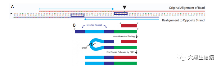 （转载）实用干货—解惑NGS可能引入的错误突变_生信分析低频突变原因-CSDN博客