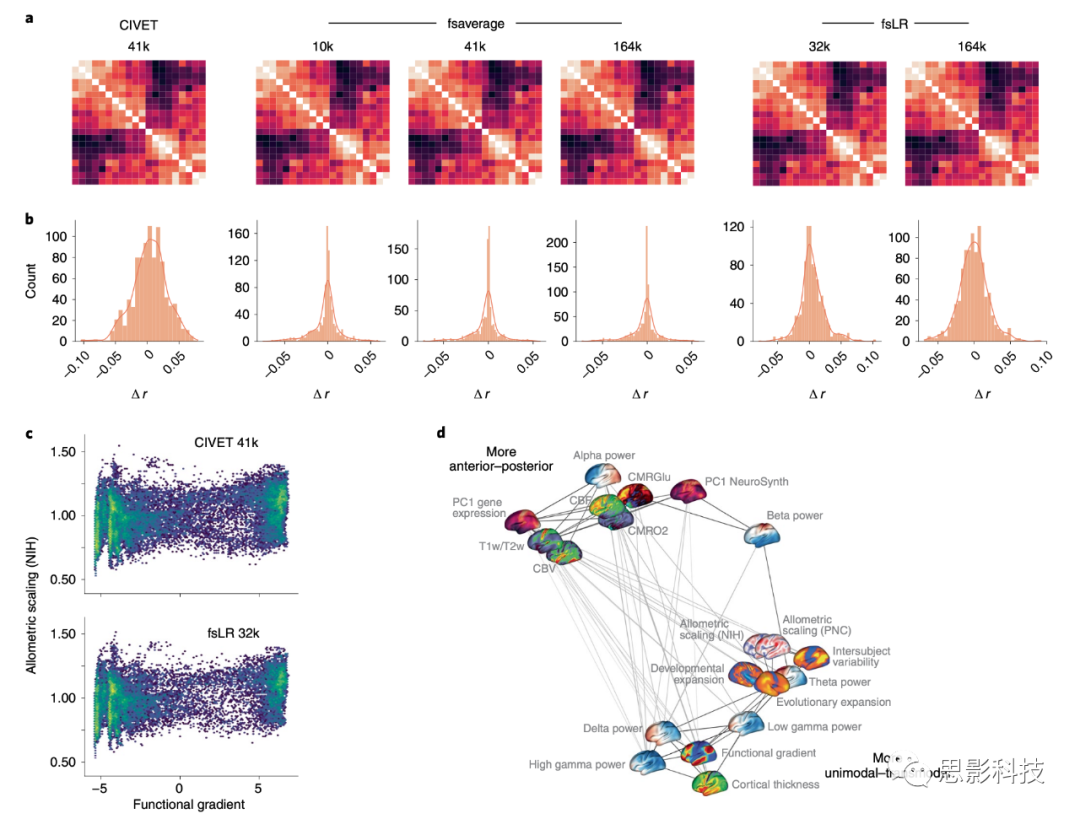 Neuromaps: 大脑结构和功能的图解-CSDN博客