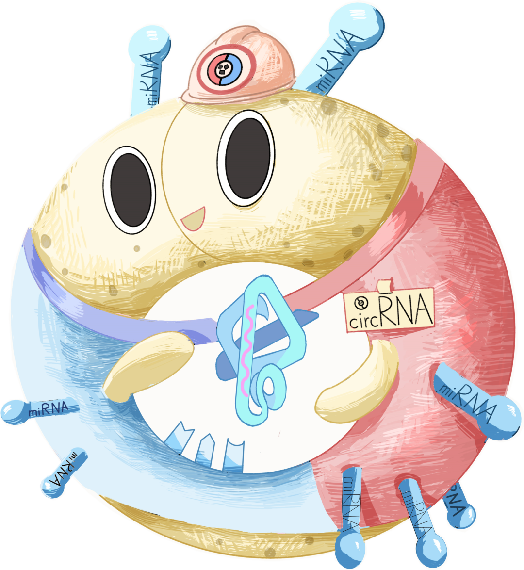 ceRNA！你是谁？为了谁？_cerna是啥-CSDN博客